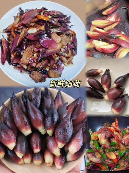 阳荷怎么吃_阳荷的做法大全-第3张图片-山城妙识 阳荷怎么吃_阳荷的做法大全-第3张图片-山城妙识