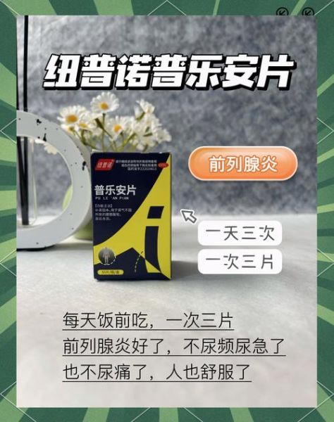 油菜花粉前列腺炎克星_真的有用吗-第1张图片-山城妙识 油菜花粉前列腺炎克星_真的有用吗-第1张图片-山城妙识