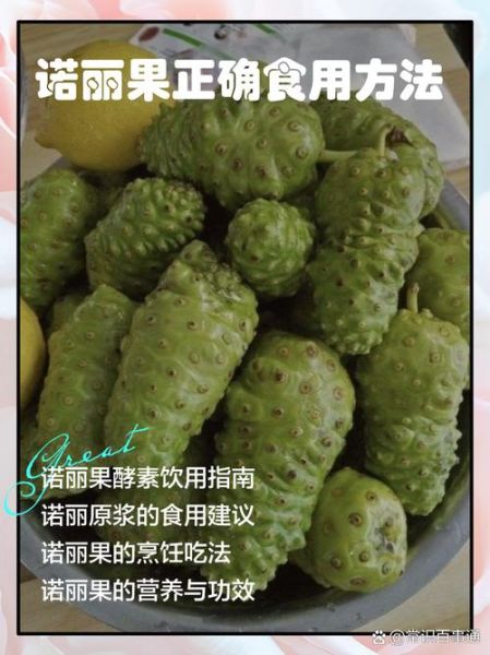 诺丽果的功效与作用_诺丽果怎么吃效果最好-第3张图片-山城妙识