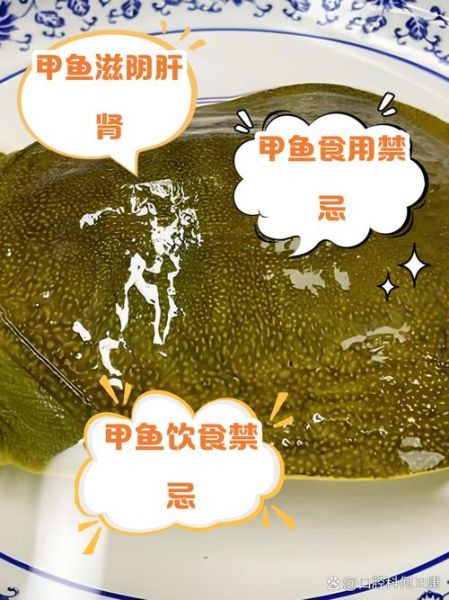 女人吃甲鱼的功效与作用_女人吃甲鱼有什么禁忌-第3张图片-山城妙识