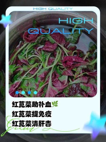红苋菜的营养价值_孕妇能吃红苋菜吗-第3张图片-山城妙识 红苋菜的营养价值_孕妇能吃红苋菜吗-第3张图片-山城妙识