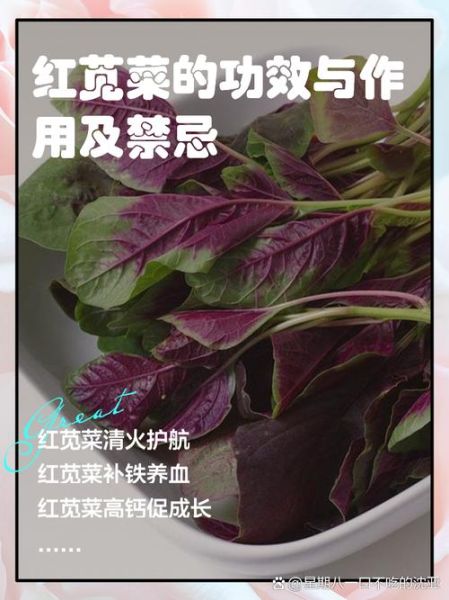 红苋菜的营养价值_孕妇能吃红苋菜吗-第1张图片-山城妙识 红苋菜的营养价值_孕妇能吃红苋菜吗-第1张图片-山城妙识
