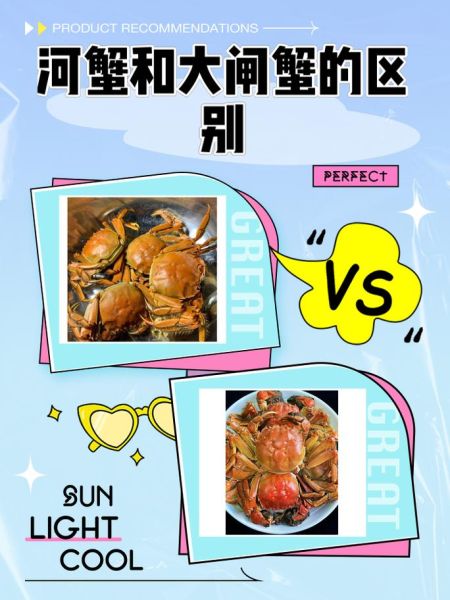 大闸蟹和河蟹的区别_哪个更好吃-第1张图片-山城妙识 大闸蟹和河蟹的区别_哪个更好吃-第1张图片-山城妙识