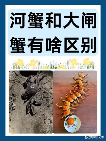 大闸蟹和河蟹的区别_哪个更好吃-第2张图片-山城妙识 大闸蟹和河蟹的区别_哪个更好吃-第2张图片-山城妙识
