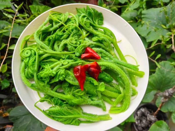 绿色的是窝瓜还是南瓜_区别与吃法-第1张图片-山城妙识 绿色的是窝瓜还是南瓜_区别与吃法-第1张图片-山城妙识