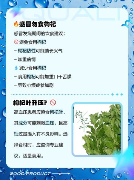 三种人不宜吃枸杞_哪些人不能吃枸杞-第3张图片-山城妙识 三种人不宜吃枸杞_哪些人不能吃枸杞-第3张图片-山城妙识