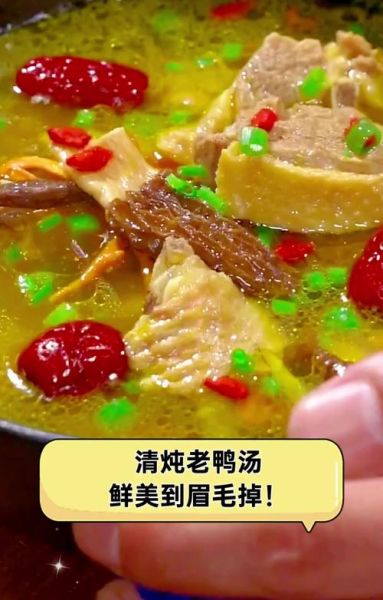 广东老鸭汤的做法_老鸭汤怎么炖才香-第1张图片-山城妙识