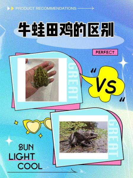 田鸡是保护动物吗_田鸡属于几级保护动物-第1张图片-山城妙识 田鸡是保护动物吗_田鸡属于几级保护动物-第1张图片-山城妙识