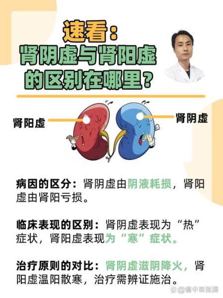 肾阴虚和肾阳虚的区别_如何快速分辨-第3张图片-山城妙识