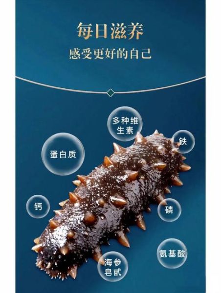 新鲜海参的营养价值_新鲜海参的功效与作用-第2张图片-山城妙识 新鲜海参的营养价值_新鲜海参的功效与作用-第2张图片-山城妙识