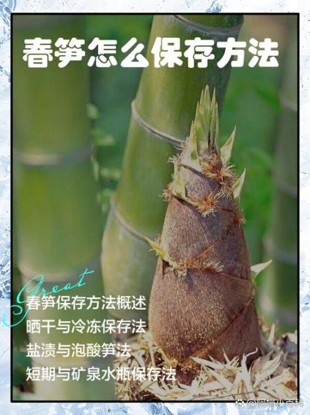煮过的竹笋怎么保存_能放多久不坏-第2张图片-山城妙识