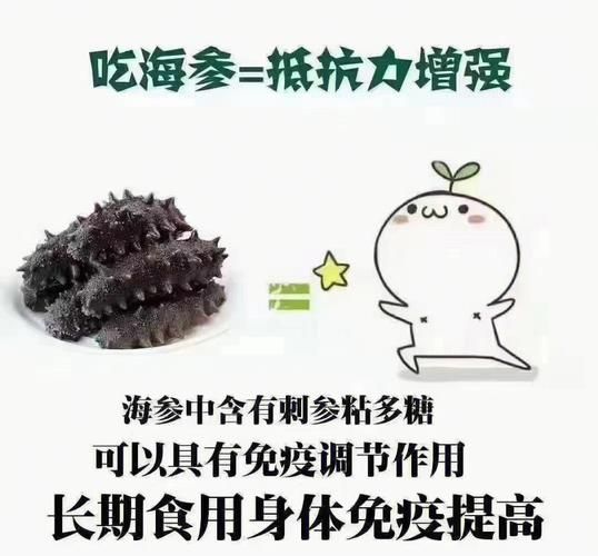 新鲜海参的营养价值_新鲜海参的功效与作用-第3张图片-山城妙识 新鲜海参的营养价值_新鲜海参的功效与作用-第3张图片-山城妙识