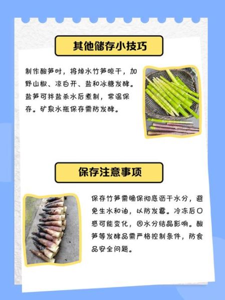 煮过的竹笋怎么保存_能放多久不坏-第3张图片-山城妙识