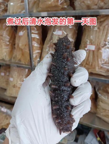 海参怎么泡发最好_海参价格多少钱一斤-第3张图片-山城妙识 海参怎么泡发最好_海参价格多少钱一斤-第3张图片-山城妙识