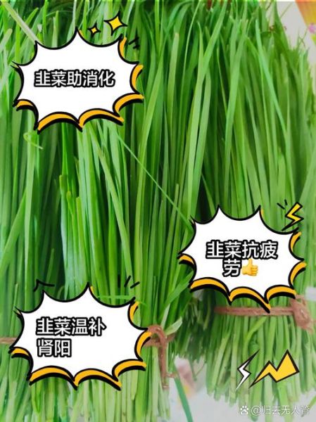 韭菜的功效与作用_韭菜怎么吃最好-第3张图片-山城妙识