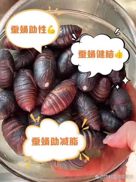 蚕蛹图片大全_蚕蛹营养价值有哪些-第2张图片-山城妙识