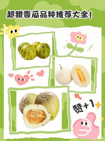 甜瓜品种怎么选_甜瓜哪个品种最甜-第1张图片-山城妙识 甜瓜品种怎么选_甜瓜哪个品种最甜-第1张图片-山城妙识