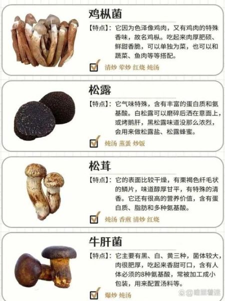 冬菇和香菇的区别_哪个更好吃-第3张图片-山城妙识