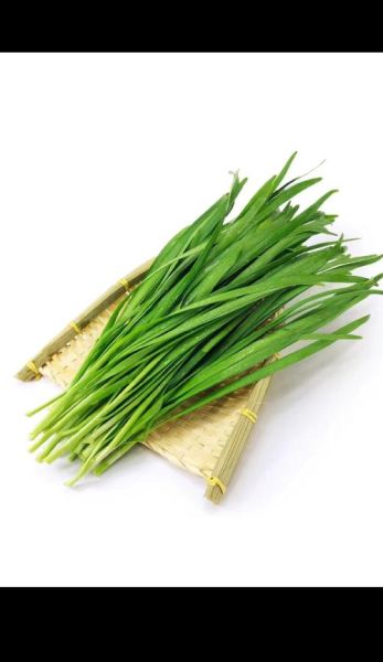 韭菜图片怎么拍好看_韭菜高清图片拍摄技巧-第1张图片-山城妙识 韭菜图片怎么拍好看_韭菜高清图片拍摄技巧-第1张图片-山城妙识