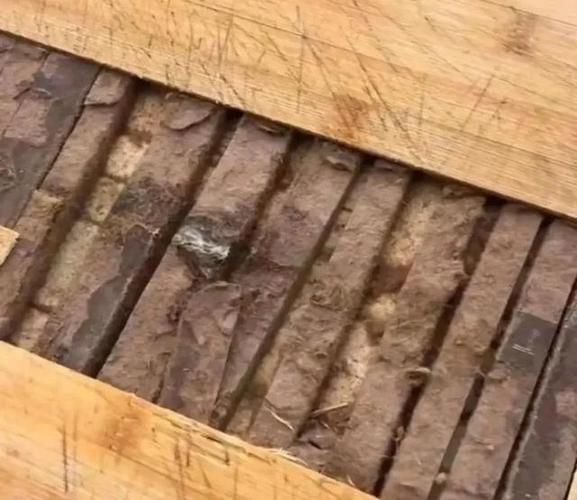 菜板发霉怎么办_竹菜板好还是木菜板好-第3张图片-山城妙识