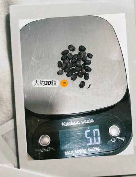 淡豆豉葱白水怎么做_淡豆豉葱白水适合什么人喝-第1张图片-山城妙识 淡豆豉葱白水怎么做_淡豆豉葱白水适合什么人喝-第1张图片-山城妙识