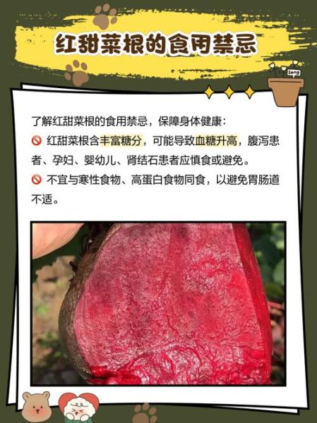 甜菜红是什么_甜菜红的作用与功效-第1张图片-山城妙识 甜菜红是什么_甜菜红的作用与功效-第1张图片-山城妙识