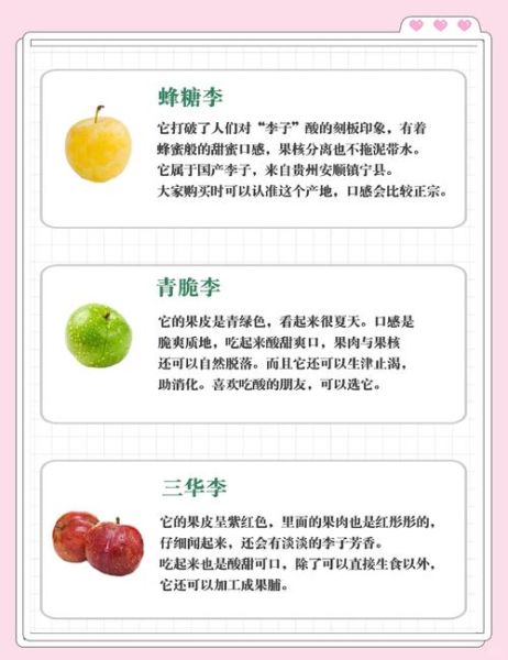 加应子是什么水果_加应子和李子区别-第1张图片-山城妙识 加应子是什么水果_加应子和李子区别-第1张图片-山城妙识