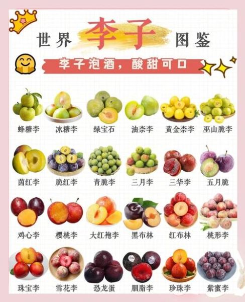 加应子是什么水果_加应子和李子区别-第2张图片-山城妙识 加应子是什么水果_加应子和李子区别-第2张图片-山城妙识