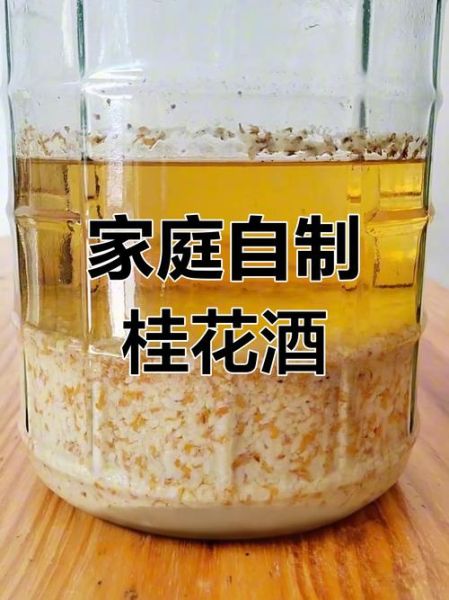 正宗桂花酒怎么做_家庭自制桂花酒配方-第2张图片-山城妙识 正宗桂花酒怎么做_家庭自制桂花酒配方-第2张图片-山城妙识
