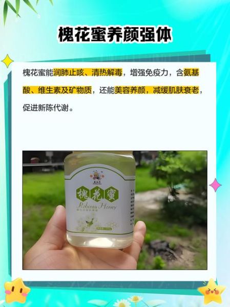 槐花蜜的功效与作用_槐花蜜适合什么人吃-第1张图片-山城妙识 槐花蜜的功效与作用_槐花蜜适合什么人吃-第1张图片-山城妙识