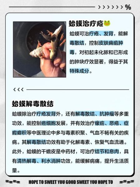 癞蛤蟆有毒吗_被癞蛤蟆咬了怎么办-第1张图片-山城妙识