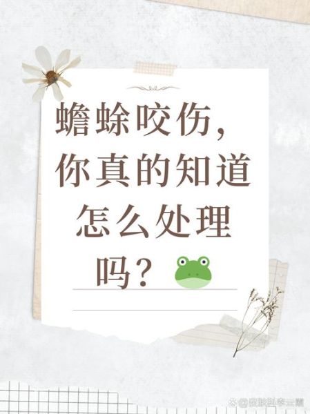 癞蛤蟆有毒吗_被癞蛤蟆咬了怎么办-第2张图片-山城妙识