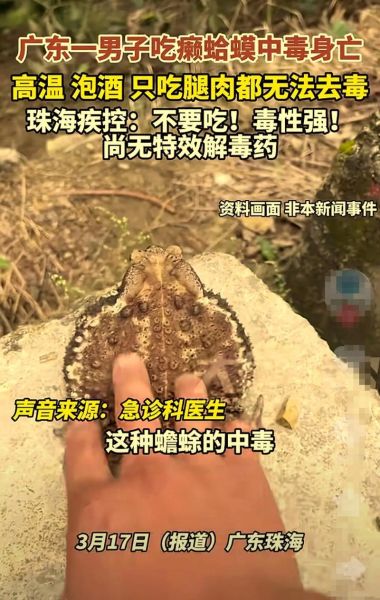 癞蛤蟆有毒吗_被癞蛤蟆咬了怎么办-第3张图片-山城妙识