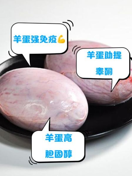 羊蛋的功效与作用禁忌_什么人不能吃羊蛋-第3张图片-山城妙识 羊蛋的功效与作用禁忌_什么人不能吃羊蛋-第3张图片-山城妙识