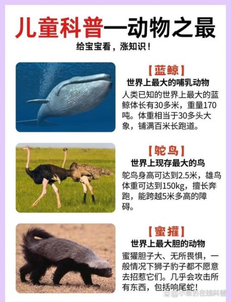 动物大全名称有哪些_动物大全名称怎么记-第2张图片-山城妙识