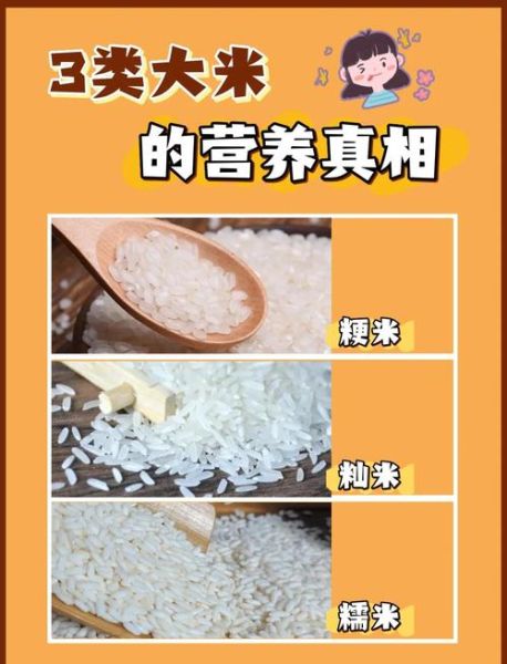 籼米和粳米有什么区别_哪个更好吃-第1张图片-山城妙识 籼米和粳米有什么区别_哪个更好吃-第1张图片-山城妙识