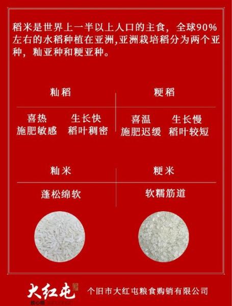 籼米和粳米有什么区别_哪个更好吃-第2张图片-山城妙识 籼米和粳米有什么区别_哪个更好吃-第2张图片-山城妙识