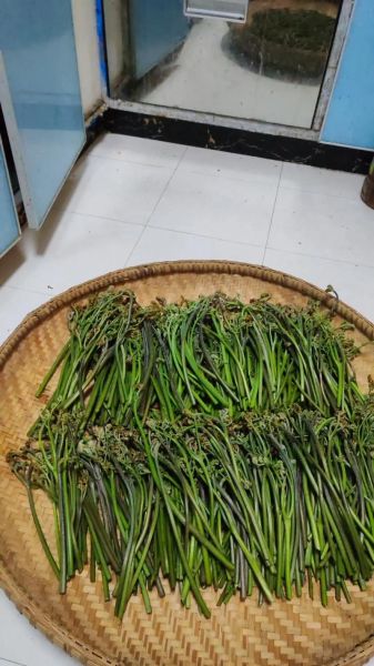 干蕨菜禁忌_哪些人不能吃干蕨菜-第3张图片-山城妙识