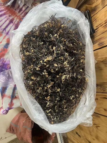 干蕨菜禁忌_哪些人不能吃干蕨菜-第1张图片-山城妙识