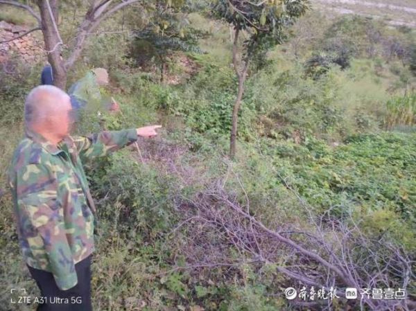 玉米地挖出250万现金_怎么处理-第1张图片-山城妙识