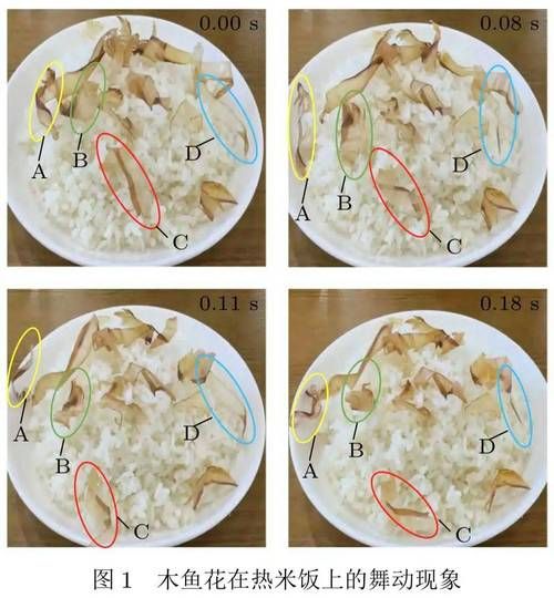 章鱼丸子上的木屑是什么_章鱼烧表面碎屑能吃吗-第1张图片-山城妙识