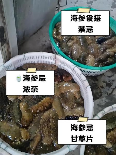 海参不能和什么一起吃_海参相克食物大全-第1张图片-山城妙识 海参不能和什么一起吃_海参相克食物大全-第1张图片-山城妙识
