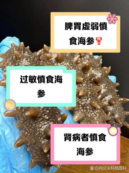 海参不能和什么一起吃_海参相克食物大全-第3张图片-山城妙识 海参不能和什么一起吃_海参相克食物大全-第3张图片-山城妙识