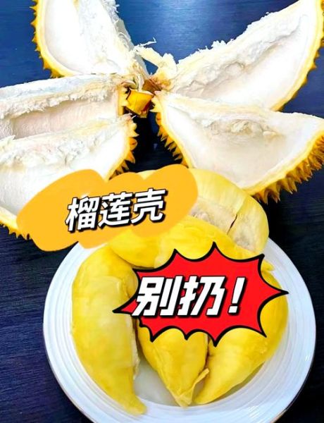 榴莲炖鸡用榴莲肉还是皮_榴莲壳白色部分能吃吗-第1张图片-山城妙识 榴莲炖鸡用榴莲肉还是皮_榴莲壳白色部分能吃吗-第1张图片-山城妙识