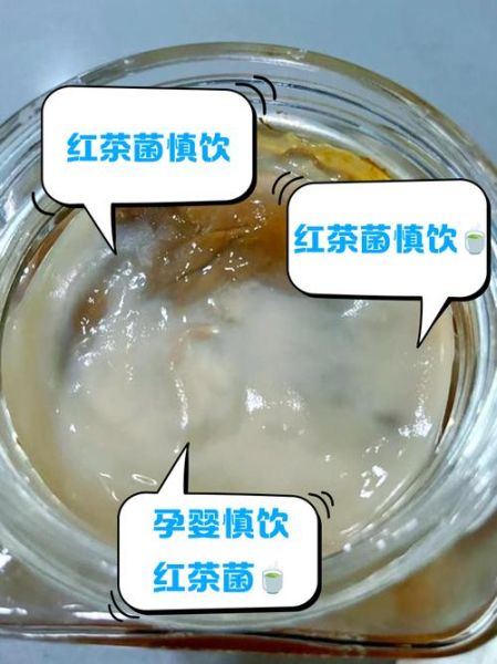 红茶菌的危害_长期饮用有哪些副作用-第2张图片-山城妙识