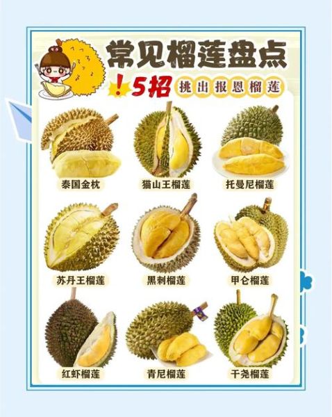 榴莲下载官网在哪_榴莲下载安全吗-第3张图片-山城妙识