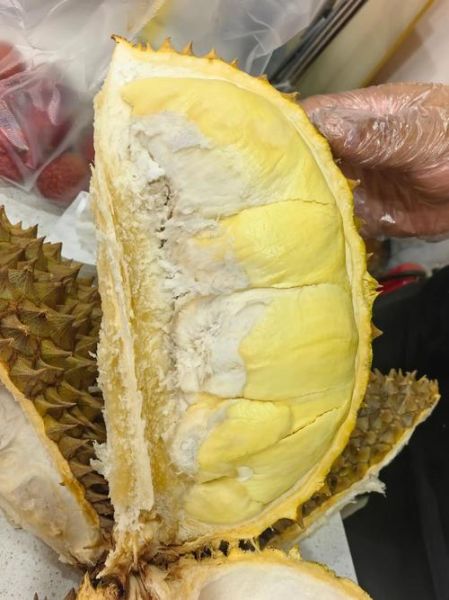 榴莲下载官网在哪_榴莲下载安全吗-第1张图片-山城妙识