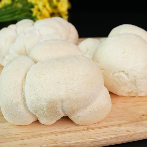 新鲜猴头菇怎么清洗_猴头菇最简单的做法-第3张图片-山城妙识 新鲜猴头菇怎么清洗_猴头菇最简单的做法-第3张图片-山城妙识