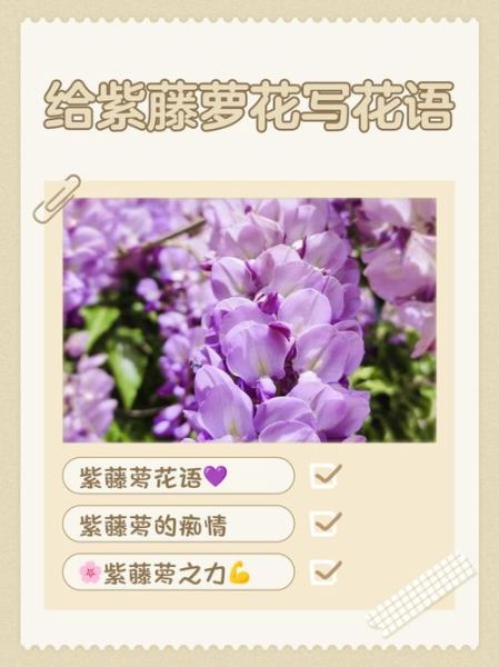 紫藤花的花语是什么_紫藤花适合送什么人-第1张图片-山城妙识 紫藤花的花语是什么_紫藤花适合送什么人-第1张图片-山城妙识