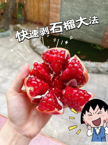 石榴怎么吃图解_石榴的正确剥法-第2张图片-山城妙识 石榴怎么吃图解_石榴的正确剥法-第2张图片-山城妙识